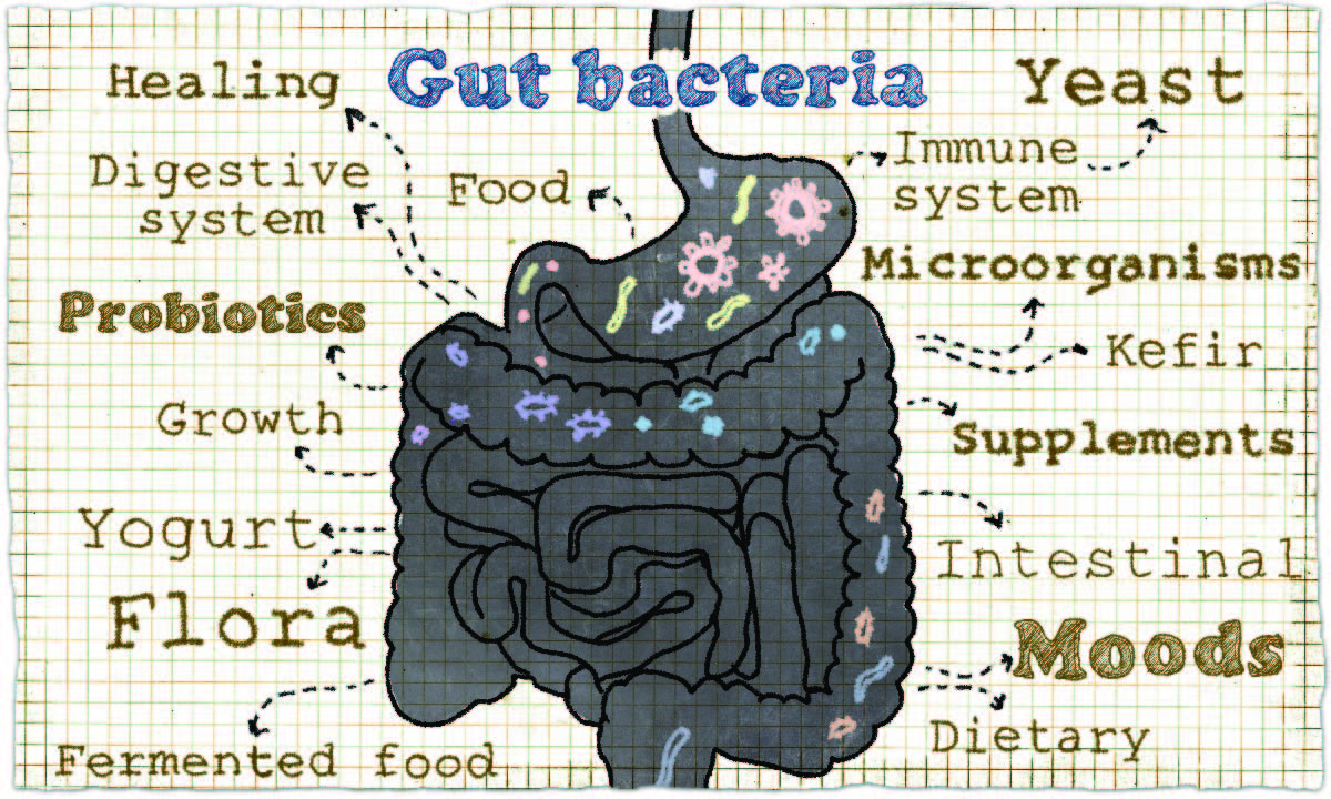 Gut Health and the Microbiome: Men's Guide to Optimization